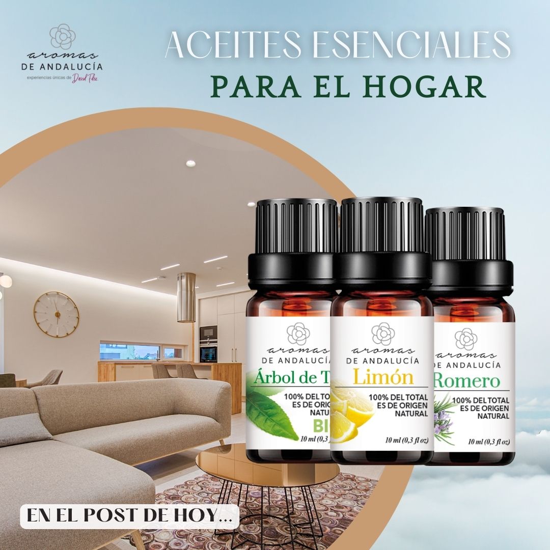 ¿Cuáles son los mejores aceites esenciales para el hogar?